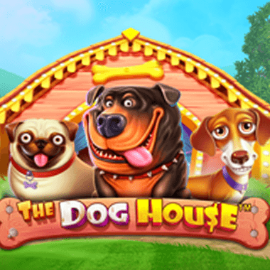 Play The Dog House from Pragmatic Play with bitcoin.